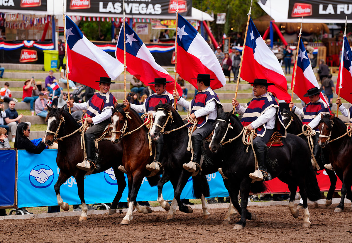La Ruta del Caballo Chileno por Sudamérica (VIII) final del viaje ...