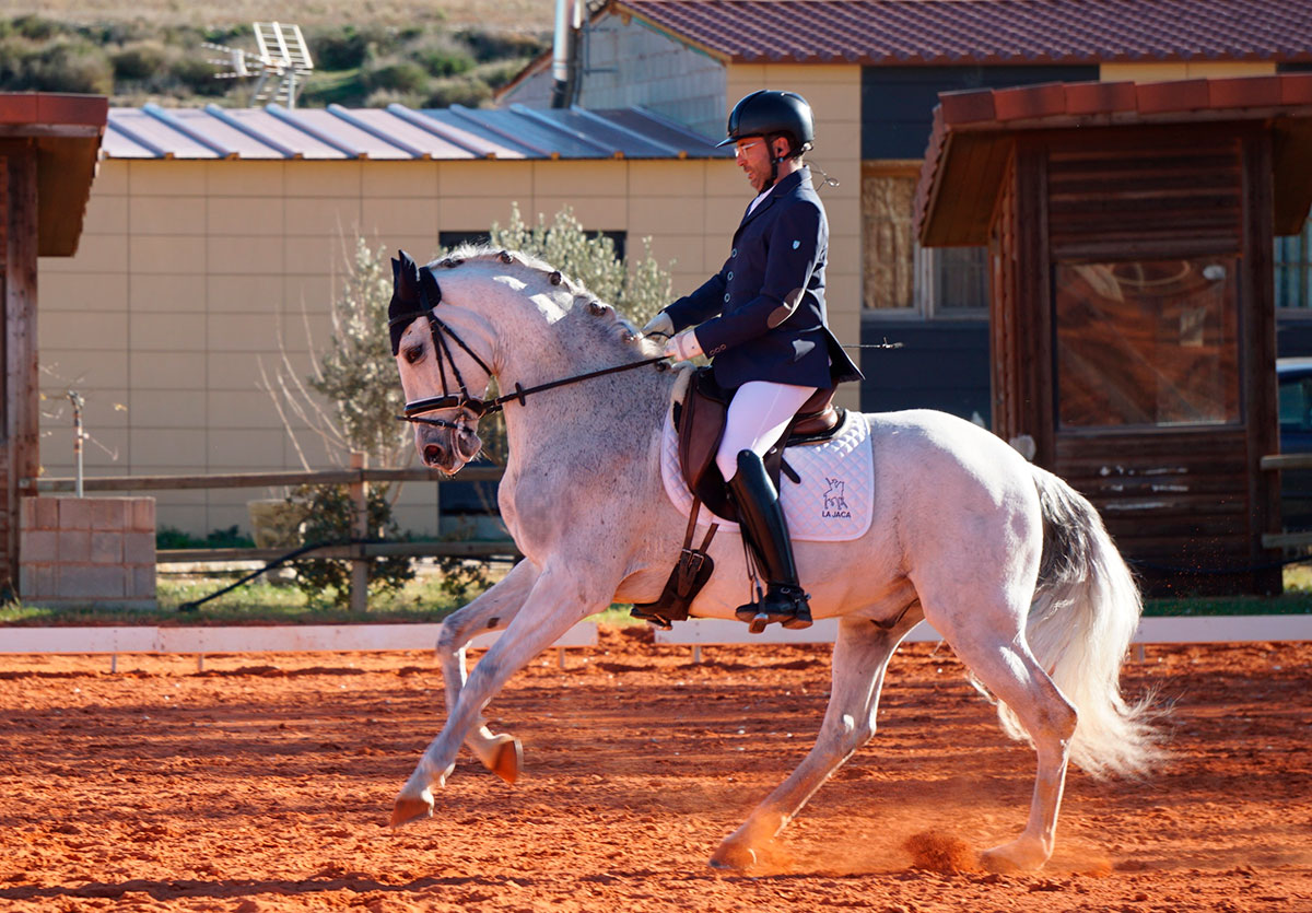 La Copa del Mundo de Doma Clásica en IFEMA MADRID HORSE WEEK - Canal ...